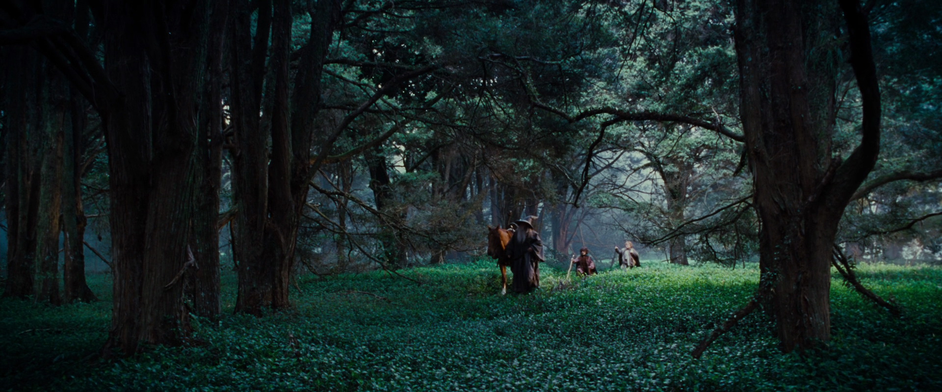 Lord of the Trees: The Botany of Middle Earth – The Meaning of Trees